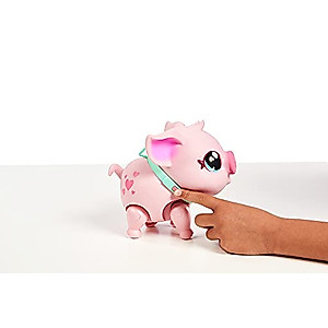 Little Live Pets - My Pet Pig: Piggly | Soft and Jiggly Interactive Toy Pig That Walks, Dances and Nuzzles. 20+ Sounds & Reactions. Batteries Included. for Kids Ages 4+