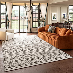 Area Rugs for Living Room, 4x6 Feet Soft Machine Washable Boho Farmhouse Rugs for Bedroom Under Dining Table - Non-Slip Neutral Morden Indoor Floor Carpet for Bedroom Dining Room Office