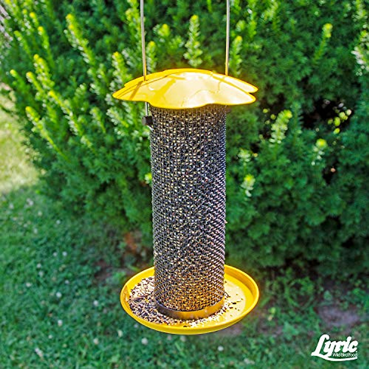 Lyric Finch - Small Songbird Wild Bird Seed - Attracts Goldfinches, House Finches, Purple Finches & More - 5 lb. Bag