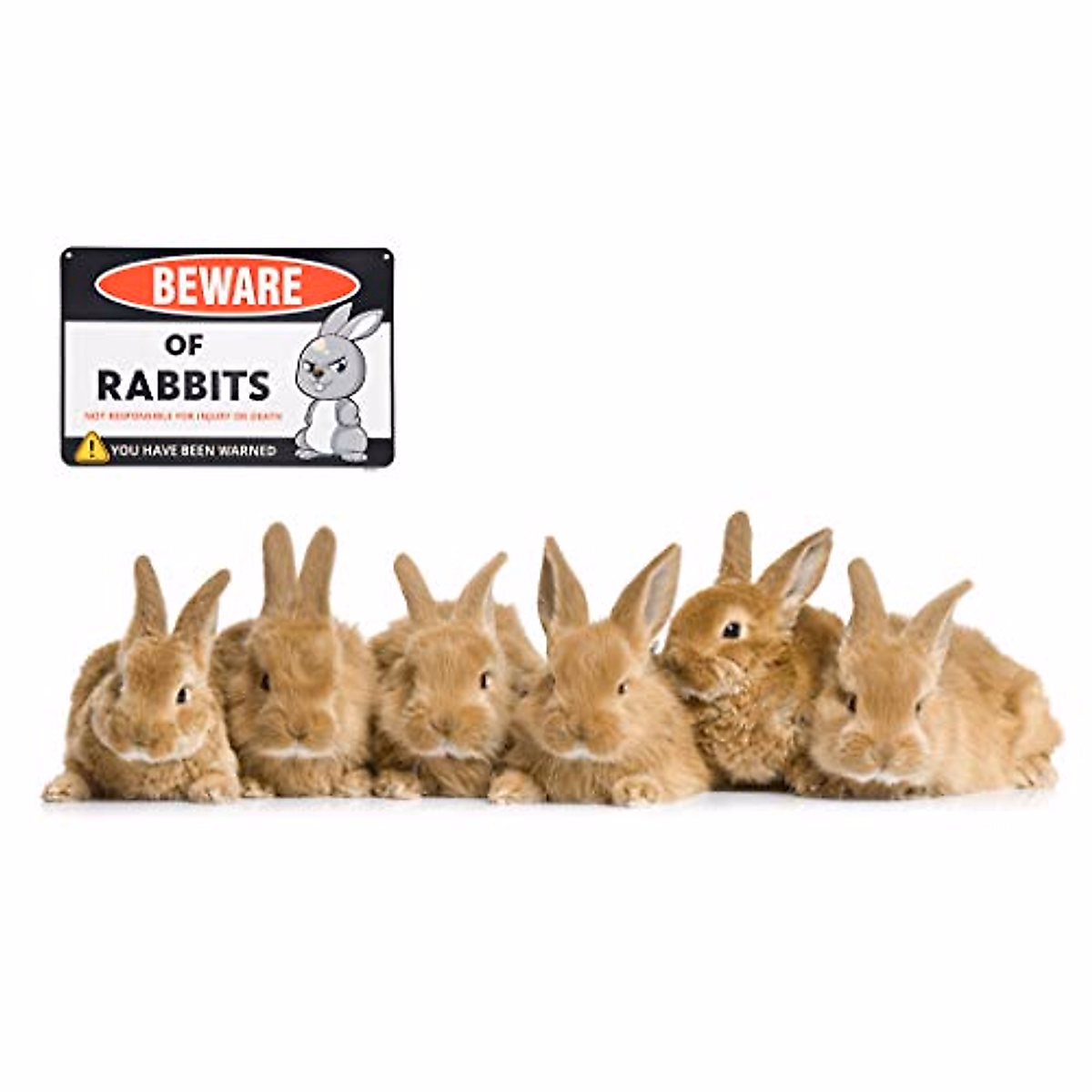 Venicor Beware of Rabbit Sign Decor - 8 x 12 Inches - Aluminum - Bunny Rabbit Decorations Accessories Gifts Supplies Stickers Stuff