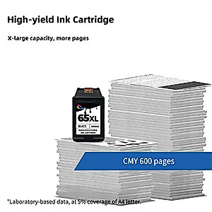 65XL Black Ink Cartridge Replacement for HP Ink 65 HP65 XL HP65XL for DeskJet 3755 3700 3752 3772 3720 3723 2600 2621 2622 2652 2655 Envy 5055 5000 5052 5014 5010 AMP 100 120 130 Printers (2 Pack)