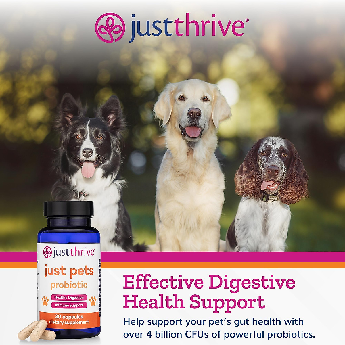 Just Thrive Just Pets Probiotic - Daily Digestive Probiotics for Dogs and Cats - 4 Billion CFUs Pet Probiotic, 30 Capsules