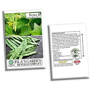 Roma II Italian Bush Bean Seeds for Planting, 30+ Heirloom Seeds Per Packet, (Isla's Garden Seeds), Non GMO Seeds, Botanical Name: Phaseolus vulgaris, Great Home Garden Gift