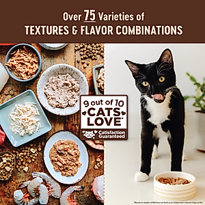 Wellness CORE Pate Adult Wet Cat Food, Natural, Protein-Rich, Grain Free, 3 Ounce, 12 Pack (Turkey & Duck)