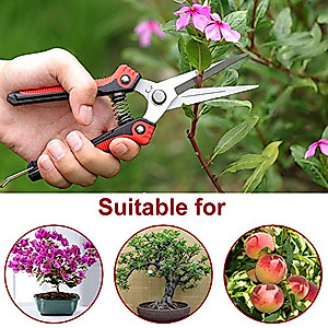 WYF Pruning Scissors, Professional Garden Shears - Straight Stainless Steel Blades - Sharp Gardening Hand Pruner for Garden Harvesting Fruits, Vegetables, Trimming Flowers and Plants, 8.1IN(Red)