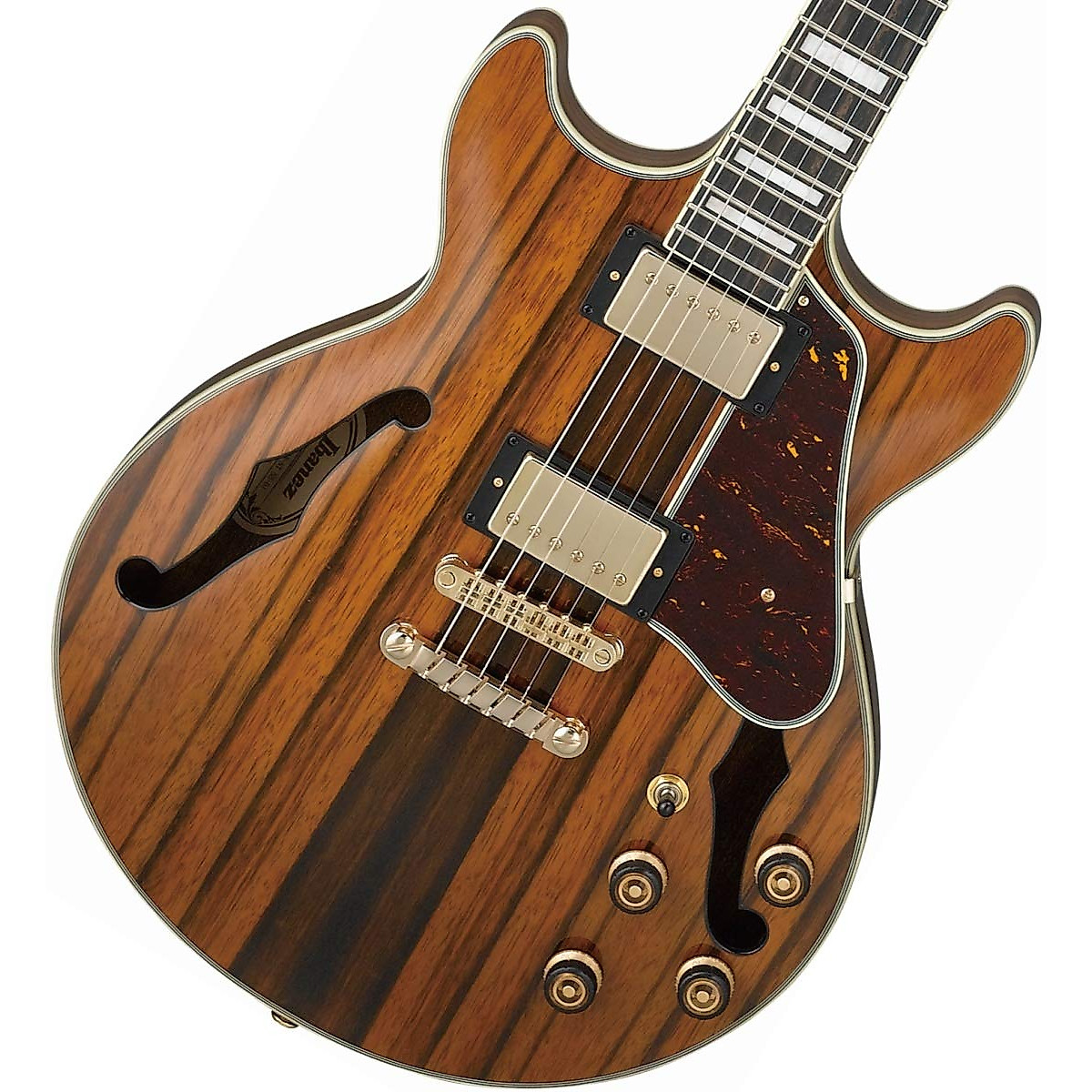 Ibanez AM93ME Artcore Expressionist Macassar Ebony Semi-Hollow Body