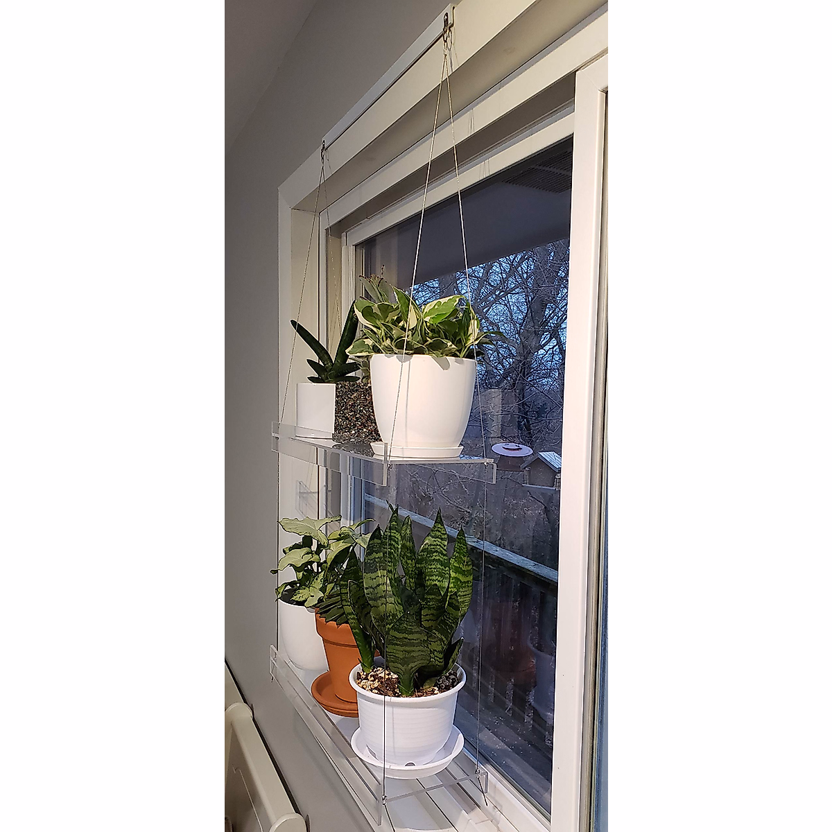 SUPREMETECH Hanging Acrylic Shelves for Windows (34" Wide, 1 Shelf - 26" Tall)