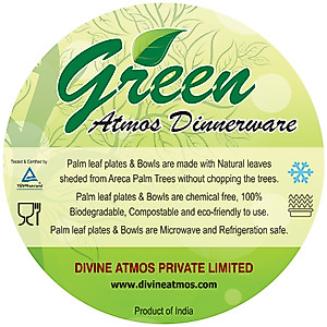 Atmos Green 25 pack 10.5" Square coupe Palm Leaf Dinner Plate Compostable disposable premium heavy duty Eco-Friendly Microwave Refrigeration safe Bamboo like Wedding Events Party