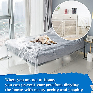 20 Pack Plastic Drop Cloth Sheets for Painting, 9x12 Feet Dust-Proof Clear Plastic Cloth for Furniture Cover