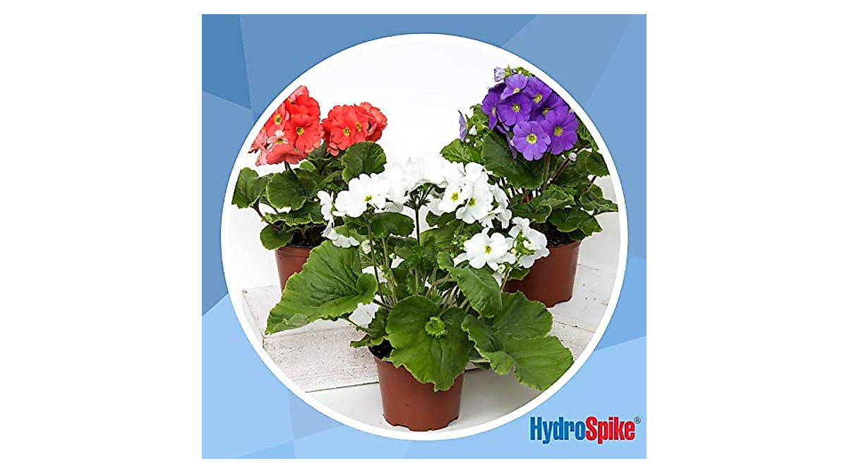 HydroSpike HS-300 3-Pack Automatic Plant Watering System