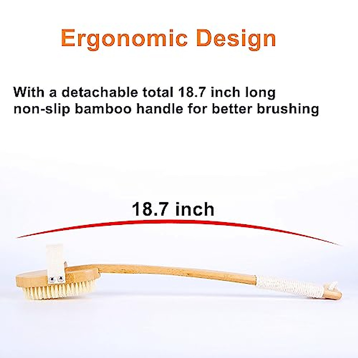 Body Brush Back Scrubber, COINPOTIA 18.7 inch Long Handle Detachable Body Brush with Dual Brushing Heads for Dry Brushing Shower, Bamboo Medium Firm Bristle Brush for Body Cellulite and Lymphatic