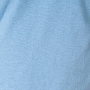 Fruit of the Loom Adult 5 oz. HD Cotton™ T-Shirt L Light Blue