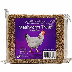 Pecking Order Mealworm Treat Cake, 20 oz