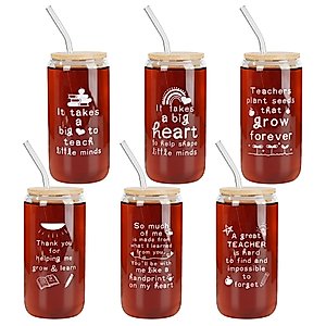 Kolewo4ever 6pcs Teacher Gifts For Women Appreciation Teacher Gift Beer Can Glass Iced Coffee Glass Cup with Bamboo Lid and Metal Straw