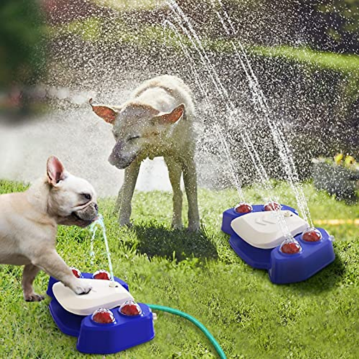 Chew it Dog Sprinkler Toy Paw Activated Puppy Water Fountain Dogs Drinking Step on Pet Watering Dispenser for Medium/Large Dogs Toys Outdoor Yard Birthday Gift G