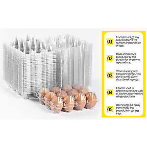 Lifuope 120 Piece Transparent Egg Carton Plastic Egg Cartons Specs3×4 12 Individuai Plastic Egg Cartons Farm Egg Storage Size7.6×5.9×2.6inch(3x4 12 egg boxes, 120 pieces)