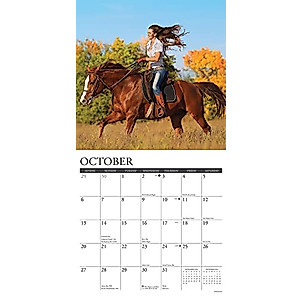 Willow Creek Press Cowgirls Monthly 2024 Wall Calendar (12" x 12")