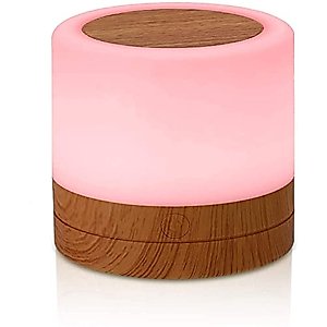AMEXI Night Lights for Kids Adults Room, Small LED Touch Lamp with Remote, Table Lamp for Office Desk with USB Port Rechargeable Portable Lamp 13 Colors Dimmable Night Light