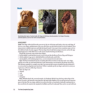 The New Complete Dog Book, 22nd Edition: Official Breed Standards and Profiles for Over 200 Breeds (CompanionHouse Books) American Kennel Club's Bible of Dogs: 920 Pages, 7 Variety Groups, 800 Photos