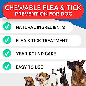 BARK&SPARK Natural Flea and Tick Prevention Chews for Dogs - Chewable Tablets for Dogs - All Breeds and Ages - Made in USA Flea and Tick Remover Supplement - Bacon - 120 Treats