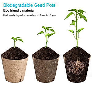 60 Packs 3.15 Inch Peat Pots for Seedlings, Biodegradable Seeds Starter Nursery Pots, Holes Round Seed Starter Pots for Plant Vegetables or Gardening Supplies with Bonus 10 Pcs Plant Labels.
