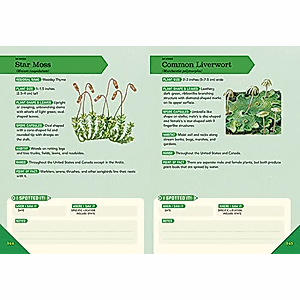 Outdoor School: Tree, Wildflower, and Mushroom Spotting: The Definitive Interactive Nature Guide