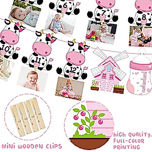 Cow First Birthday Party Decoration for Girls Pink Cow Theme 1st Birthday Photo Banner for Newborn to 12 Months for Baby Girls Farm Theme 1st Birthday Party Supplies