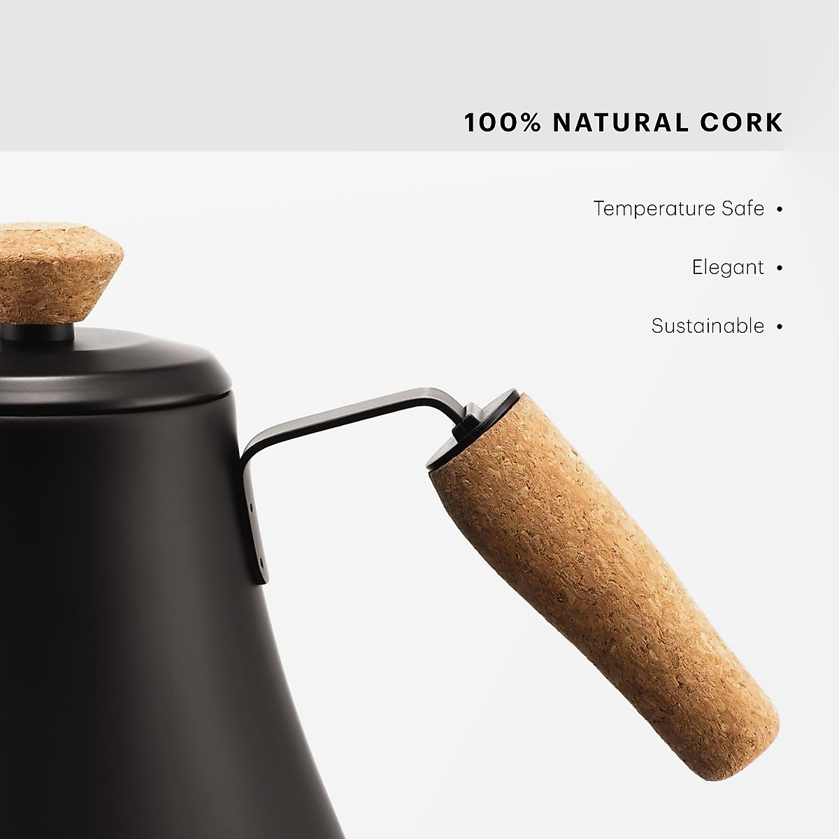 Bodum 11883-259US Melior Gooseneck Electric Water Kettle, 27 Ounce, Matte Black