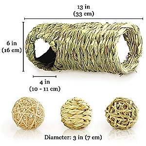 Meric Hideaway Seagrass Tunnel with Balls, 3 Fun Ball Textures, Perfect for Guinea Pig, Degu, and More, 3 Entrances Makes This Ideal for Multiple Pets, 2 Balls Have Soft Jingly Bells