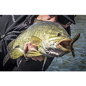 Berkley PowerBait Power Tube, 3 1/2in | 9cm, Soft Bait - 3 1/2in | 9cm, Green Pumpkin