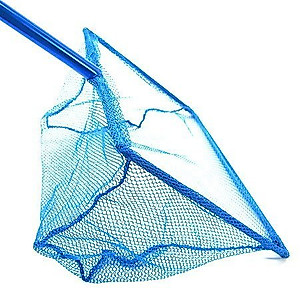 CORISRX BEST OF YOUR LIFESTYLE 12"x 8" Koi Adjustable Fish NET Handle 30~54cm Aluminum Fishing Pond Tank Blue