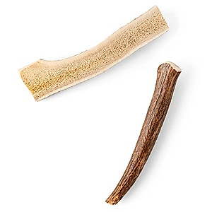 Pawveyor USA-Sourced Naturally Shed Elk Antlers For Dogs - 6" Grade-A Split & Whole Elk Antlers for Dogs Medium Sized and Aggressive Chewers - Ultra Long Lasting Dog Chew, Odorless Rawhide Alternative