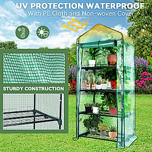 Dstone Mini Greenhouse 4-Tier Sturdy Shelves 29X20X57inch Grow Plants,Seeding,Flowers Indoor Outdoor,for All Seasons in Garden