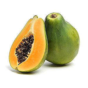 YEGAOL Garden 10Pcs Dwarf Waimanalo Papaya Fruit Tree Seeds Fast-Growing Perennial Non-GMO Tropical Sweet Fruit Patio Plant