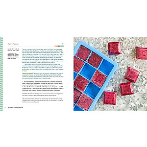 The Big Book of Organic Baby Food: Baby Purées, Finger Foods, and Toddler Meals For Every Stage