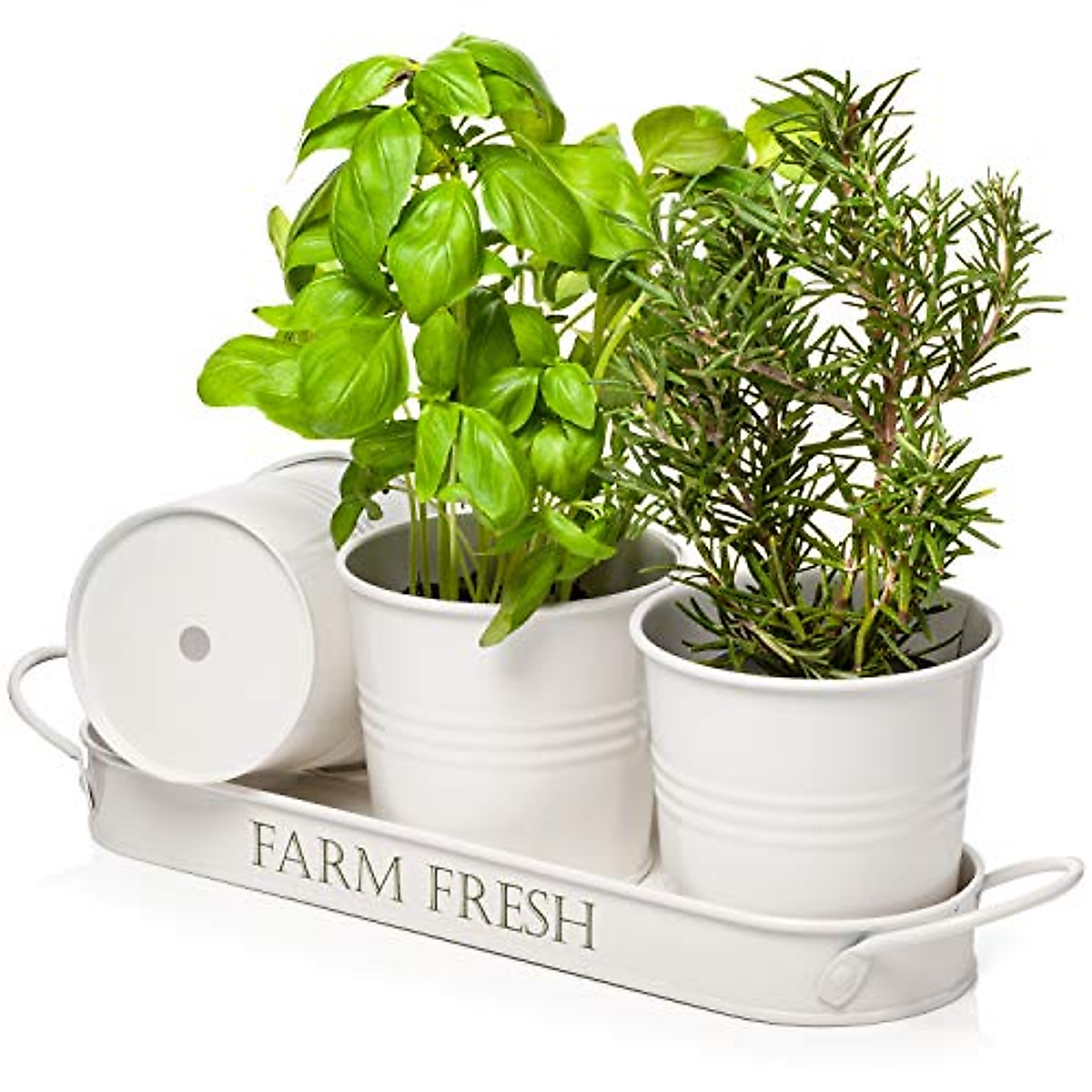 Herb Pots with Tray Set, Indoor Herb Planter, Farmhouse Inspired Decorative Herb Garden Planter with Drain Holes for Healthy Plants, Ideal for Indoor Windowsill