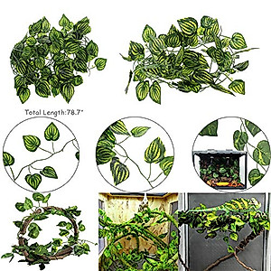 Hamiledyi Bearded Dragon Hammock Reptile Coconut Shell Bendable Jungle Climbing Vine and Leaves with Suction Cup Habitat Decor Accessories for Gecko Snakes Lizards and Chameleon（4Pcs）