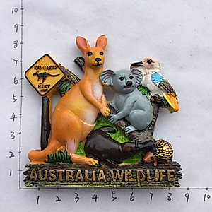 Australia Wildlife 3D Refrigerator Magnet Travel Sticker Souvenirs,Home & Kitchen Decoration Australia Fridge Magnet from China