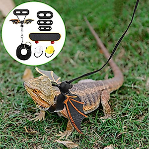 5 Pieces Bearded Dragon Accessories Toy Set Bearded Dragon Leashes and Harnesses S/M/L 3 Size Packed Lizard Harness Mini Scooter Lizard Helmet Hats Adjustable Bearded Dragon Leash (Black)