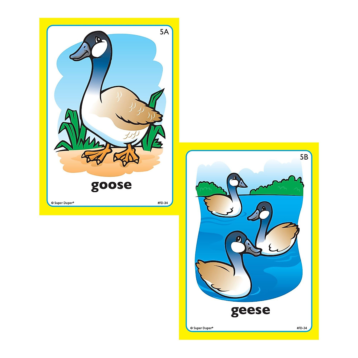 Super Duper Publications | Irregular Plurals Fun Deck Flash Cards | Educational Learning Resource for Children