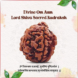 Vedic Vaani Natural Divine Sacred Om Aum Lord Shiva Rudraksh (1 Pcs)