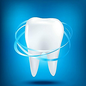 Floss Dental Picks Holy Rose Flosser Toothpick Tasteless Floss Stick Bagged Fine 600 Count White Dental Floss)