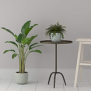 Amazon Brand - Stone & Beam Medium Fan-Embossed Planter, 6"H, Seafoam Green