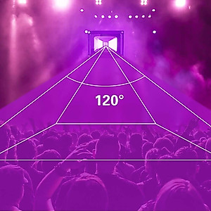 Degruand 20W 2 Pcs LED Halloween Black Light,Blacklight Flood Light with Plug,IP65 Waterproof,Light Up 30x30FT Area,Wire1.5M/4.92FT, for Glow Party Bedroom Neon Glow