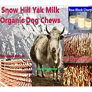 Snow Hill Himalayan Yak Cheese Dog Chews Double X Monster 13-14 Oz 10-11 in Long Grade A Healthy Odorless Yaky Golden Cheese Organic Dog Treats