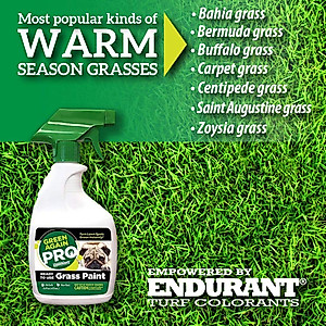 Pre-Mixed Grass and Turf Paint - All Natural Pet-Friendly Lawn Colorant Turns Spots Green Again with Eco-Friendly Point-and-Spray Application (16 oz) (Warm Season Grasses)