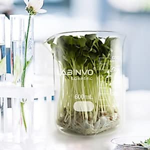 LABINVO Low Form Graduated Glass Beaker Set, Each 1pc of Vol.1000ml 2000ml, 3.3 Borosilicate Glass, IN-BKLS02
