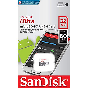 Sandisk 32GB 32G Micro SDHC Ultra (10 Pack) MicroSD TF Flash Memory Card High Speed Class 10 SDSQUNR-032G-GN3MN with Everything But Stromboli Memory Card Reader