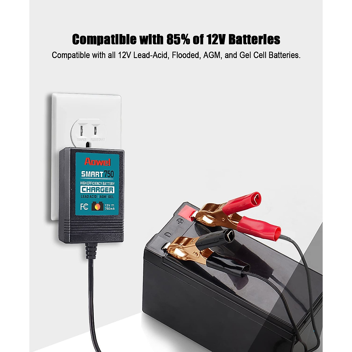 Aowel 750mA Trickle Battery Charger, 12V Fully-Automatic Smart Charger Battery Maintainer for Cars, Motorcycle, ATVs and More