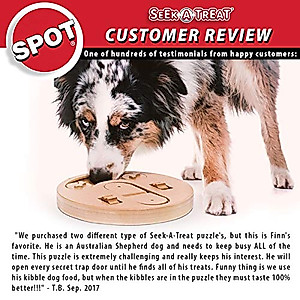 Ethical Pet Interactive Seek-A-Treat Flip 'N Flap Bone Dog Toy Puzzle That Will Improve Your Dog's IQ. Specially Designed for Dog Training Treats., Multicolor; 1.65 pounds (5652)